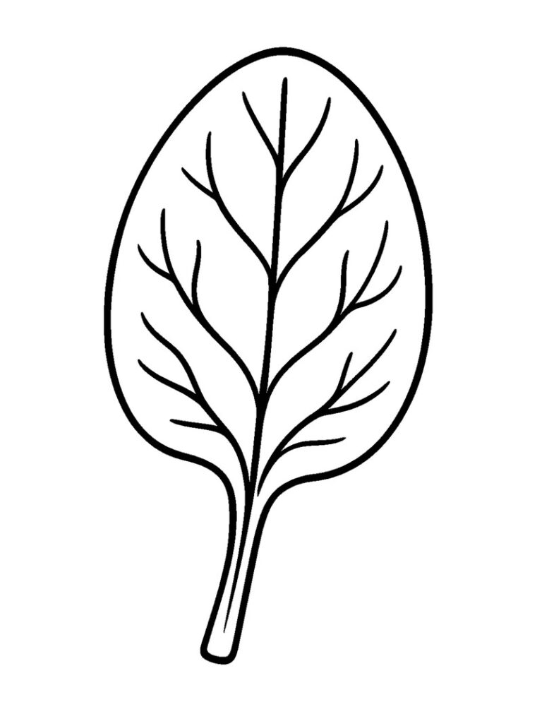 Simple Spinach Leaf Coloring Page for Kids | Coloring.co