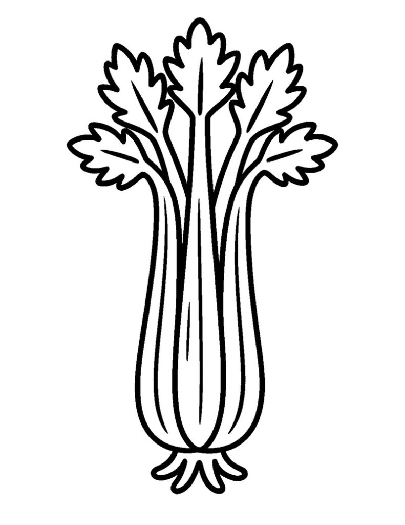 Simple Celery Stalk Coloring Page | Coloring.co