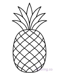 Large Pineapple Coloring Page for Preschool | Coloring.co